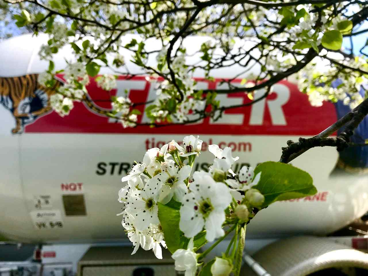 Fuel Delivery in Orange, VA | Tiger Fuel